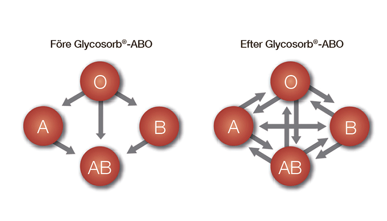 Glycorex – tema.storynews.se